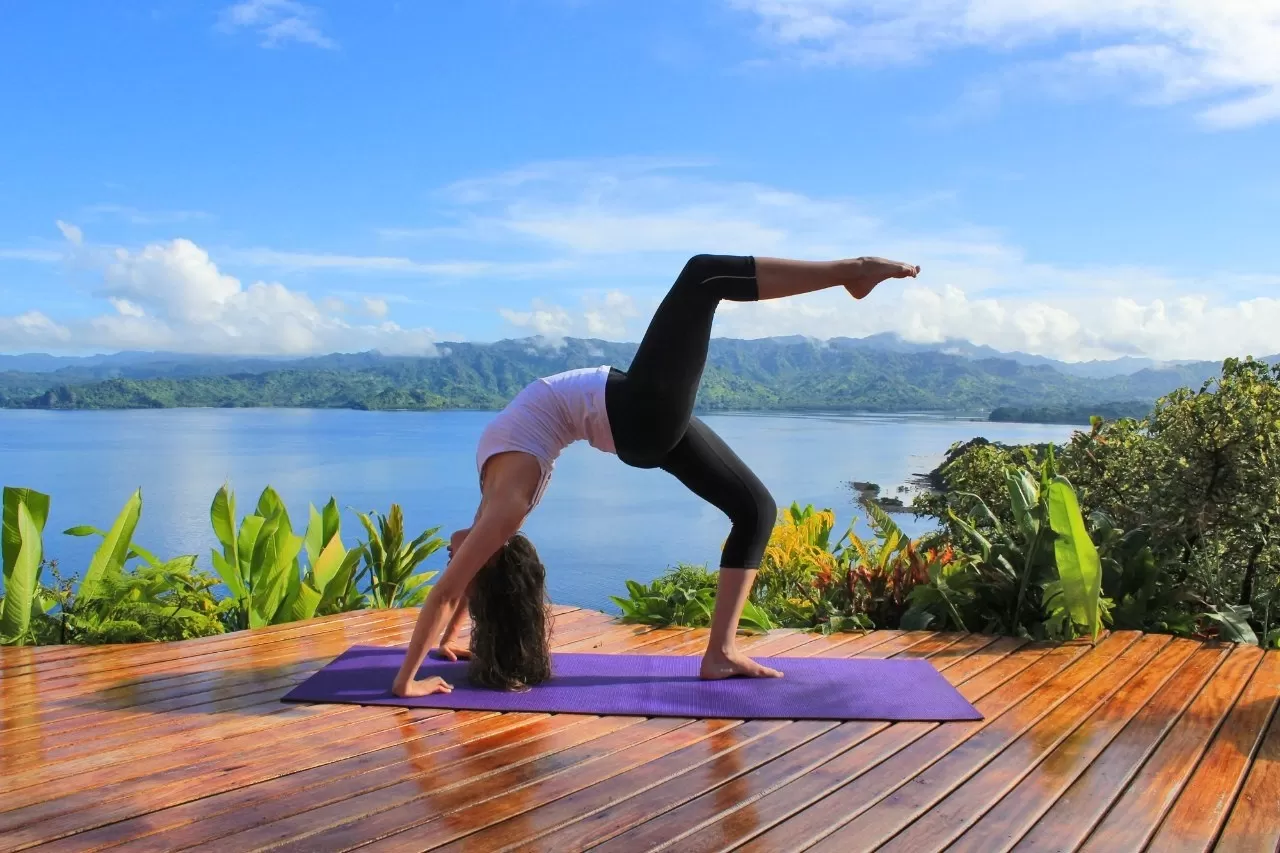 Everything You Need to Know About Asana